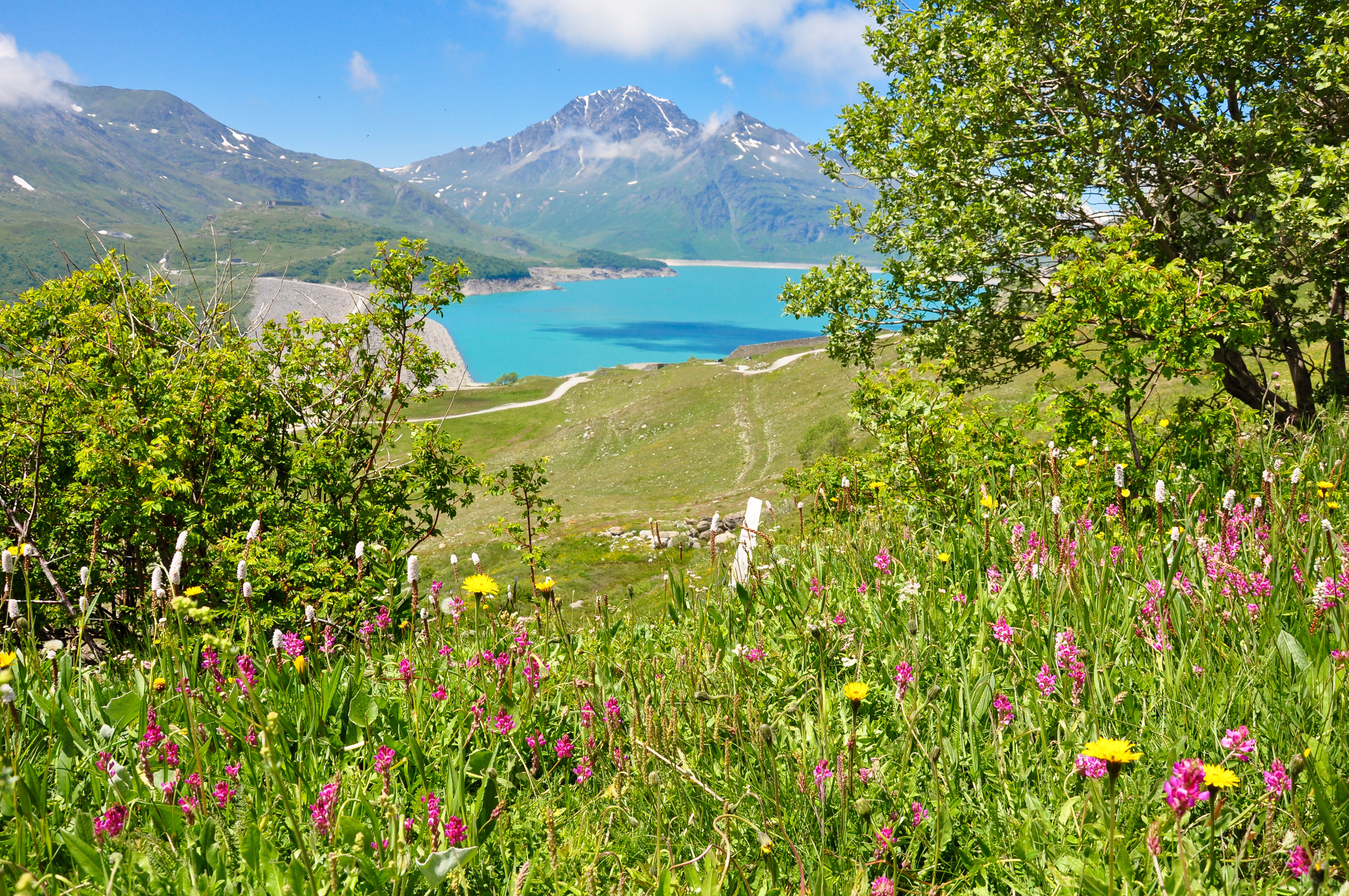 An Alpine view, Italian-French border - Rossi Writes