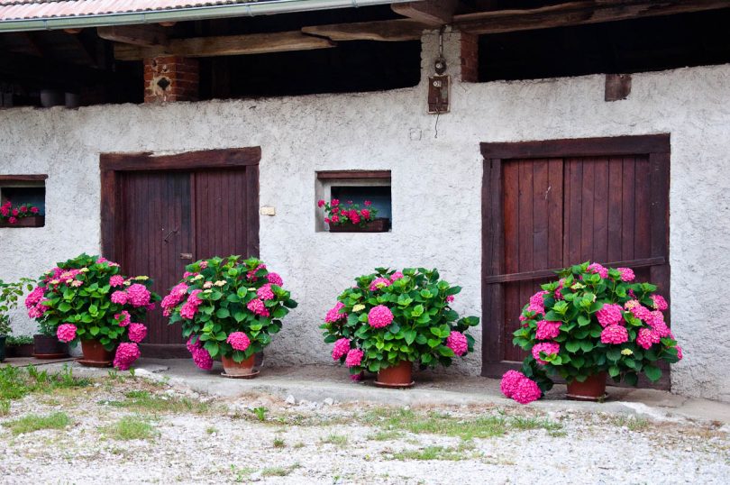 Kozolec - Slovenia's Traditional Hayrack Barns - Rossi Writes