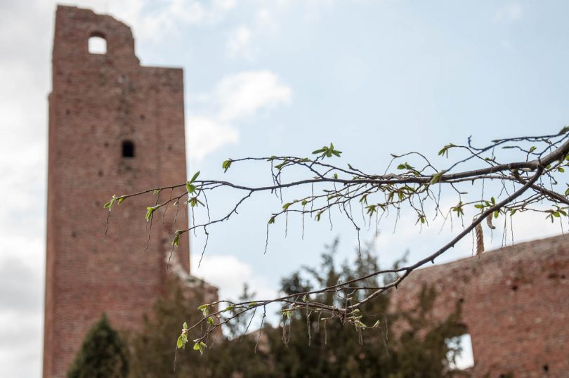 Noale - A Relaxing Day Trip in the Bosom of Veneto, Italy