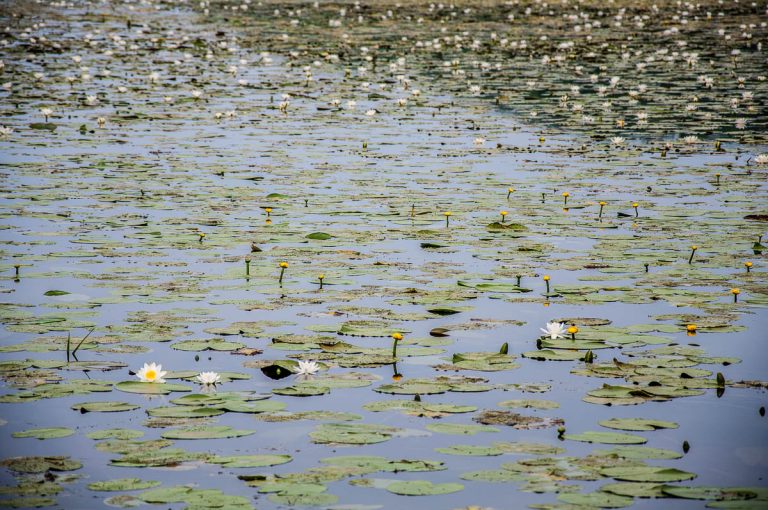 Lago di Fimon - A Pleasant Lakeside Walk Just Outside Vicenza, Italy