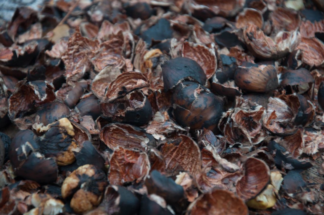 Roasted Chestnuts Festivals in Italy - The Traditional Castagnata