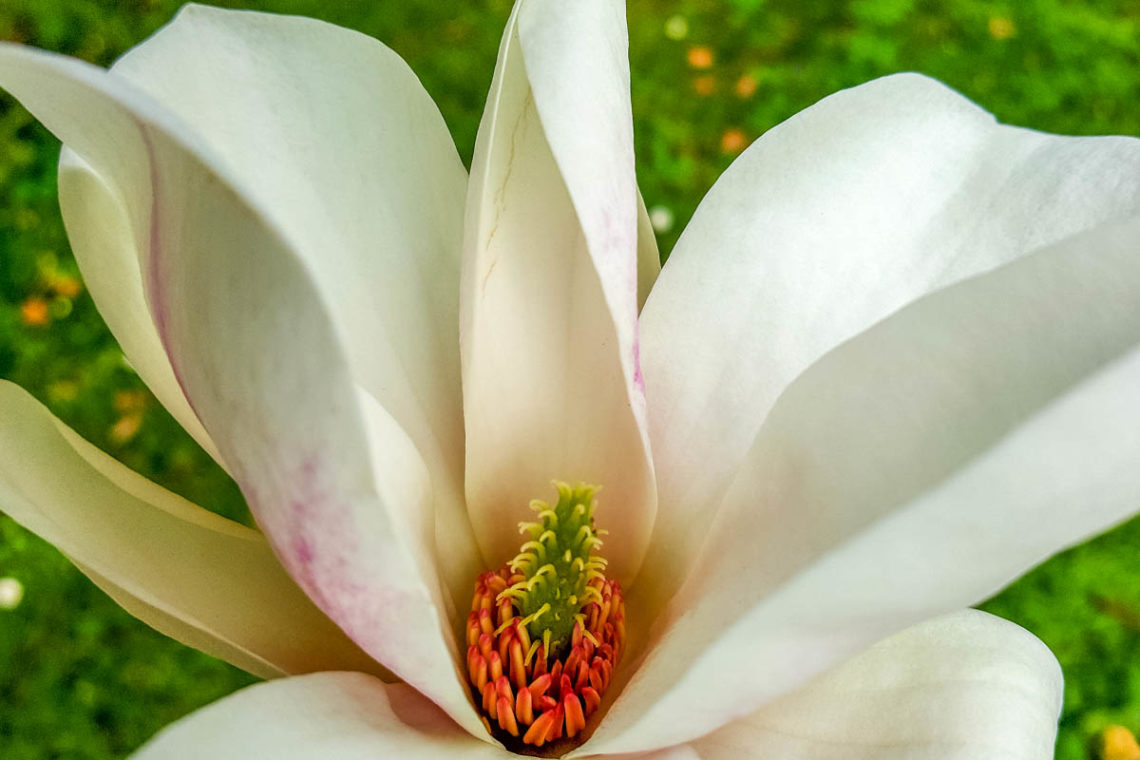 Spring in Northern Italy - 25 Things to Do, Eat and Enjoy