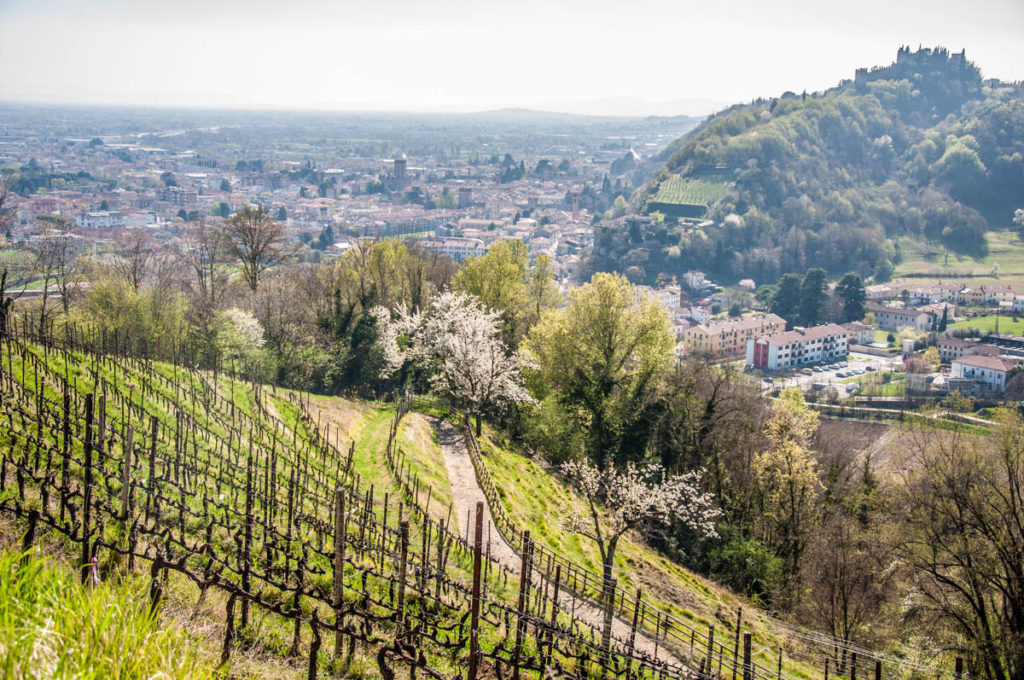 Spring in Northern Italy - 25 Things to Do, Eat and Enjoy