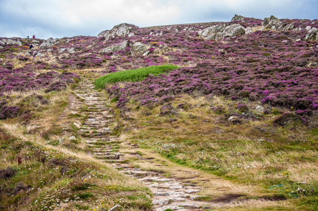 The Beauty of North Wales, UK in 13 Photos and Stories