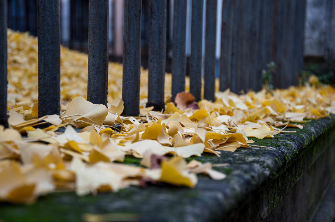 Autumn in Northern Italy - 25 Things to Do, Eat and Enjoy