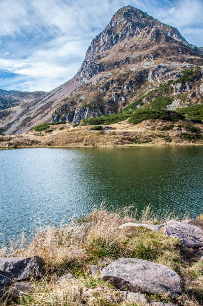 Paneveggio - Exploring the Violins' Forest in the Dolomites, Italy