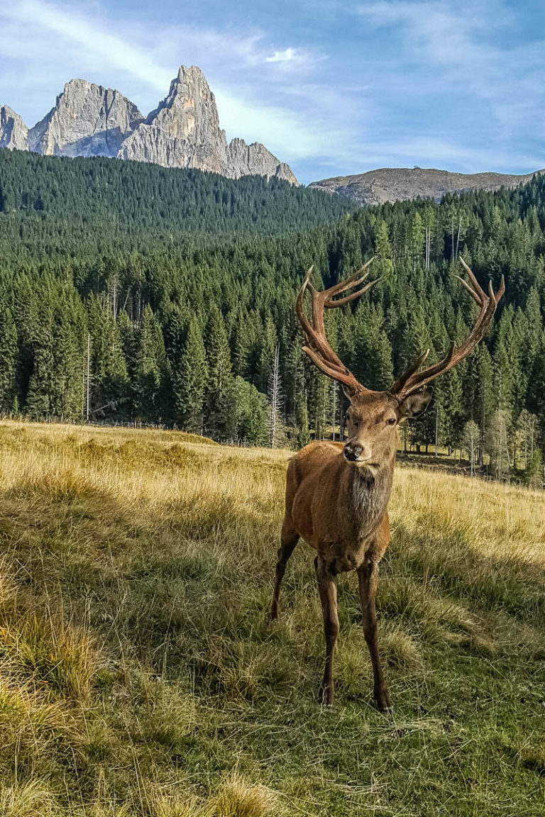 10 Reasons to Visit Northern Italy (Map and Practical Tips)