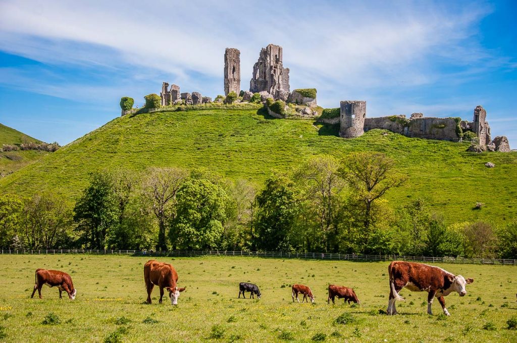 10 Reasons to Explore Dorset, England (With Practical Tips and Photos)